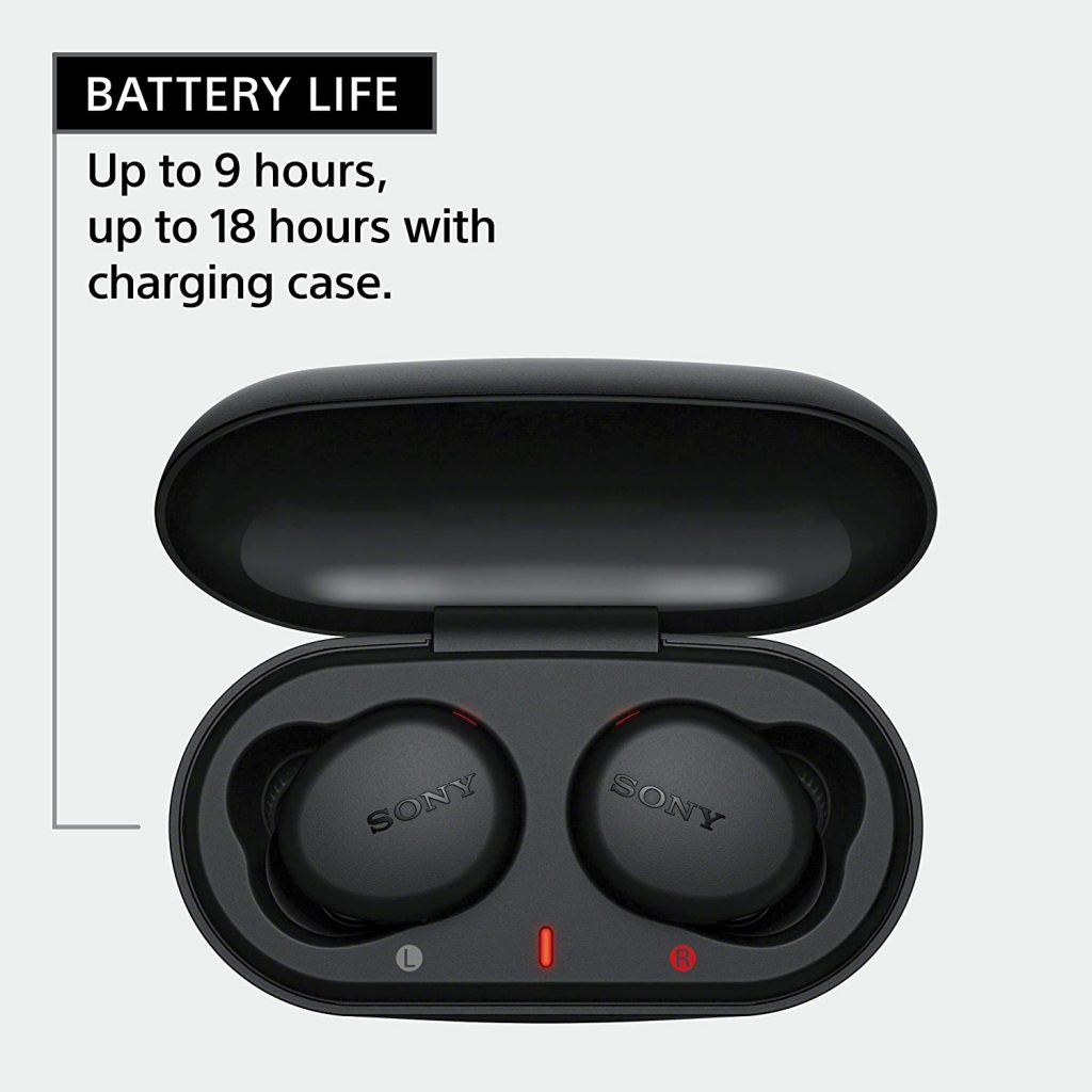 Sony WF-XB700 EXTRA BASS True Wireless Earbuds
